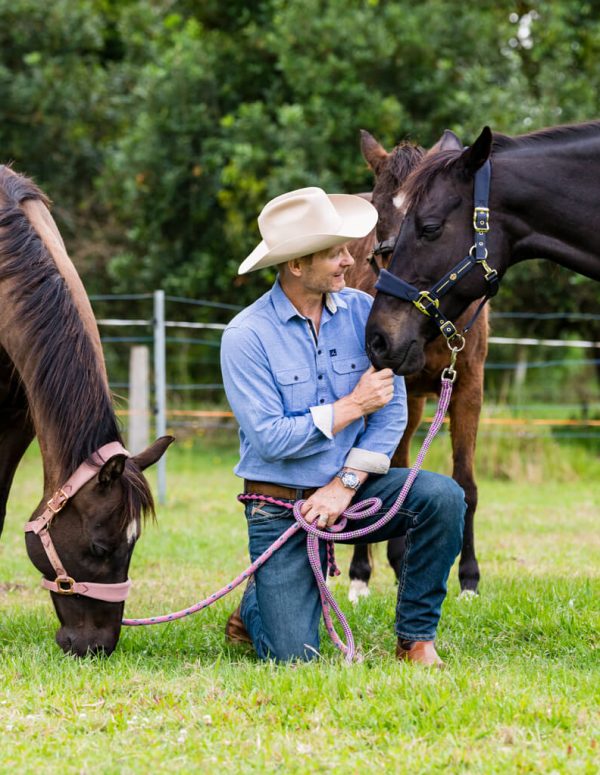 Equine Assisted Learning | Brisbane & Sunshine Coast